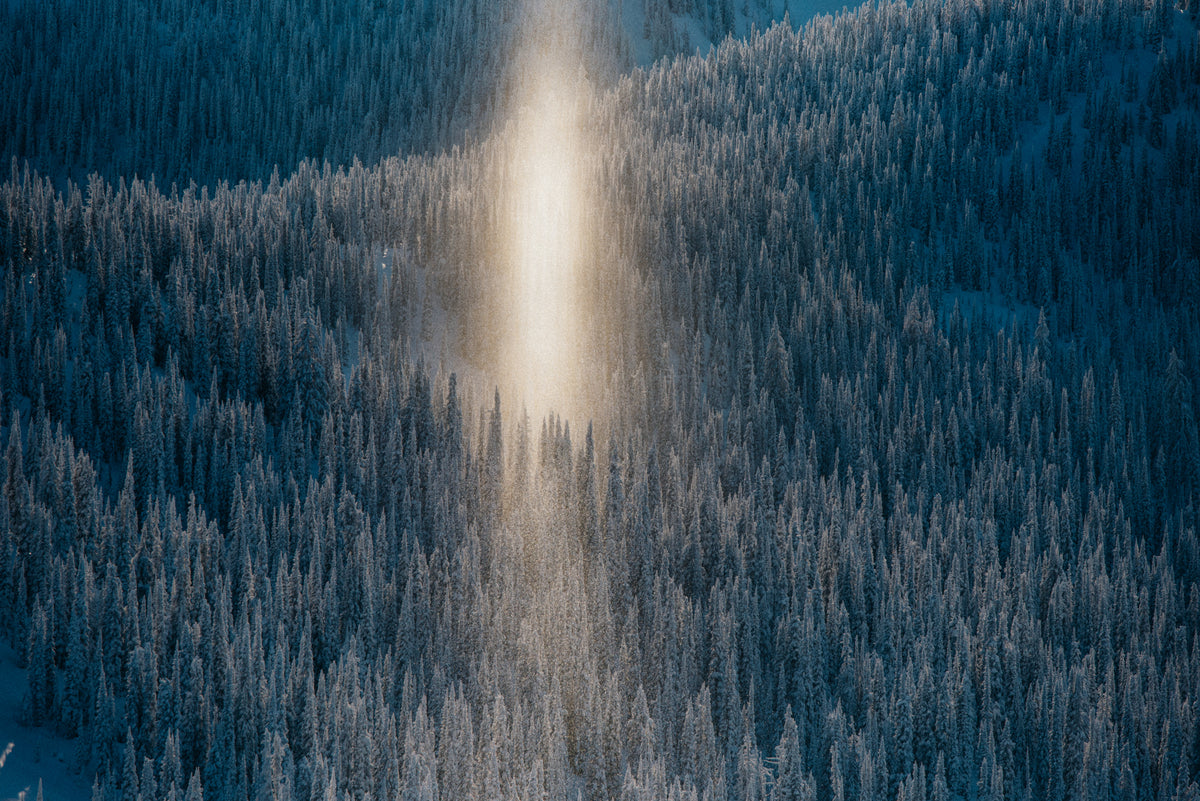 BEAM – DUSTIN LALIK PHOTO